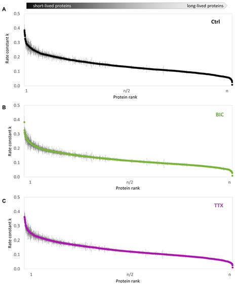 Figures And Data In Proteome Dynamics During Homeostatic Scaling In Cultured Neurons Elife