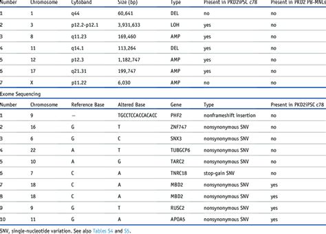 Copy Number Variations And Exome Variants Detected By Cgh And Exome Download Table
