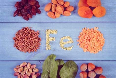 Understanding The Essential Element Iron Elissa Goodman