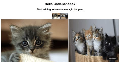 React Photo Gallery Examples Codesandbox