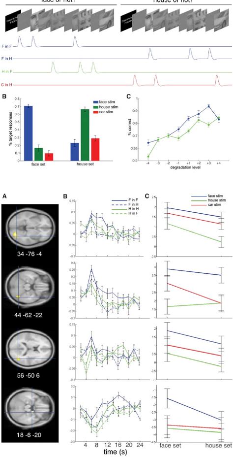 Figure 1 From Predictive Codes For Forthcoming Perception In The