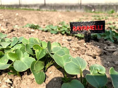 Garden Label By F Download Free Stl Model