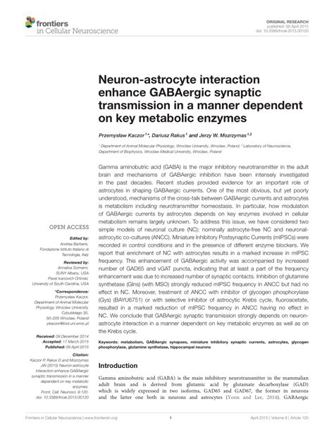 Pdf Neuron Astrocyte Interaction Enhance Gabaergic Synaptic Transmission In A Manner Dependent
