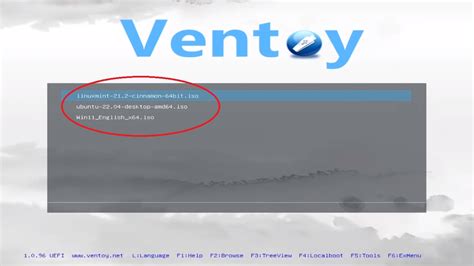 How To Create A Multiboot Usb Drive Using Ventoy Detailed Guide Winusb