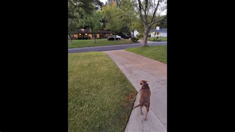 Quick Tip 3 In 1 Youtube