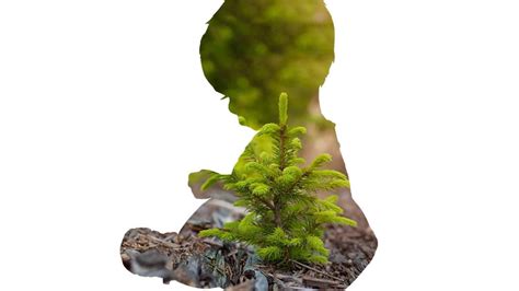 Хөвсгөл АЙМГИЙН ИТХ ЫН ЦАХИМ ХУУДАС