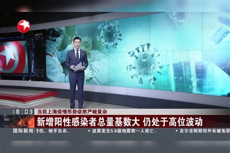 当前上海疫情形势依然严峻复杂 依然严峻 疫情 形势