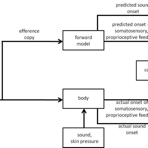2 Internal Forward Model Of Auditory Rhythm Prediction Download