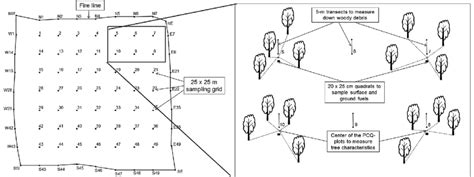 Diagram Of Basic Sampling Layout For Each Plot That Illustrates The Download Scientific Diagram