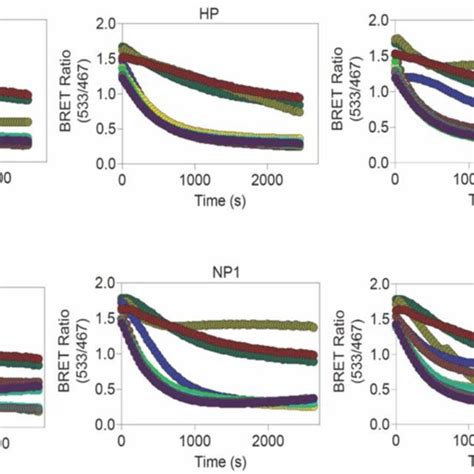Screening Of Sars Cov 2 M Pro Inhibitors Using A Bret Based Sensor Download Scientific Diagram