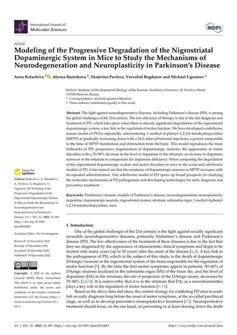 Pdf Modeling Of The Progressive Degradation Of The Nigrostriatal