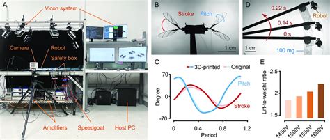 Modular And Scalable Fabrication Of Insect‐scale Aerial Robots Toward