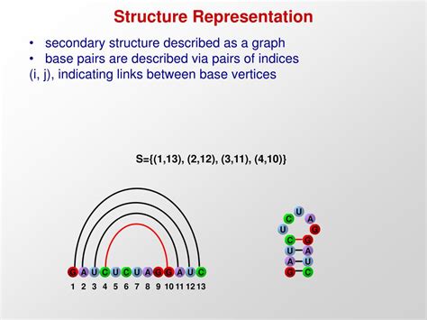 Ppt Rna Secondary Structure Powerpoint Presentation Free Download Id 3599598