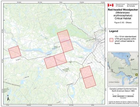 Red Headed Woodpecker Recovery Strategy Ontarioca Red Headed Woodpecker Recovery Strategy Ontarioca