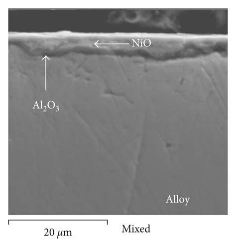 Sem Micrograph And Mapping Elements Ac Pd Doped Alloy 900°c Download Scientific Diagram