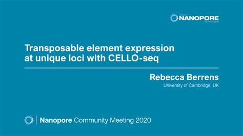 Transposable Element Expression At Unique Loci In Single Cells With