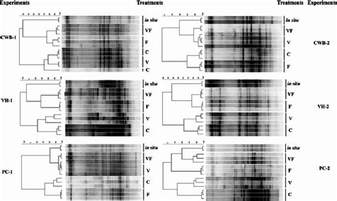 Cluster Analysis Of Dgge Profiles Based On Quantification Of The Band