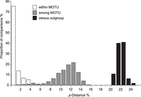 Uncorrected Sequence Divergence P Distance In Per Cent Within And Download Scientific Diagram