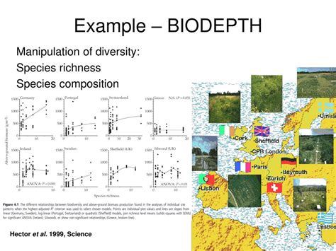 Ppt Generalized Mixed Effects Models G Mems Powerpoint