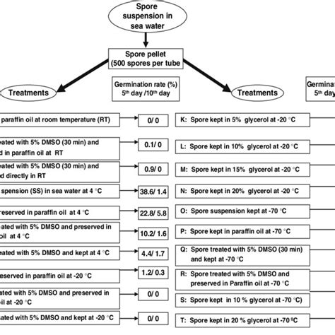 experimental design for the parameter selecting experiment for u