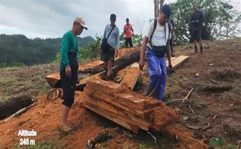 Planks Of Narra Found By Anti Illegal Logging Team In Cagayan