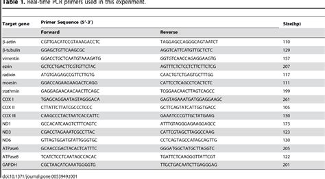 Table 1 From The Interactive Effects Of Cytoskeleton Disruption And