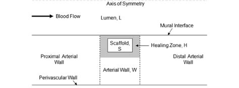 schematic of the two dimensional computational domain comprising a