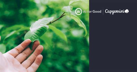 How To Safeguard And Protect Our Global Forest Ecosystems Capgemini