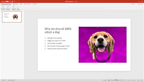 How To Remove The Background From A Picture In PowerPoint Remove Bg Blog