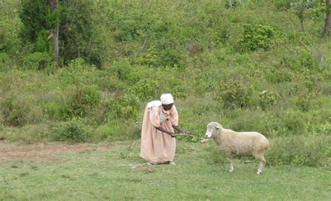 Population Health And Environment Tools — Measure Evaluation