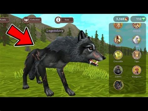 Wildcraft Playing Old Wolf Boss😂 Omg What Playble Old Wolf 😮valley Of
