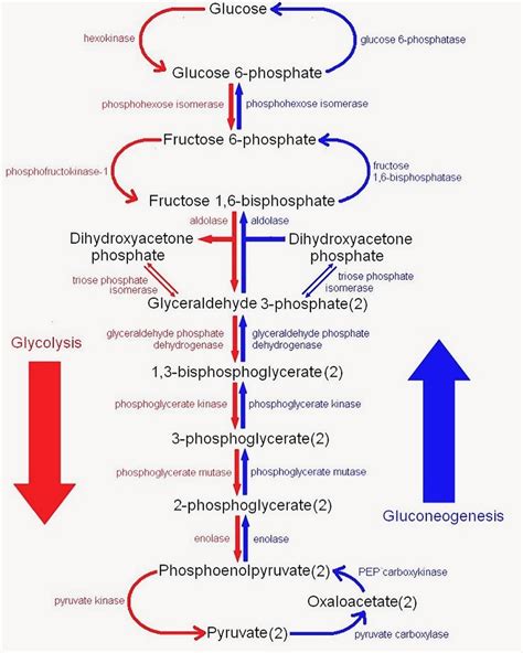 Microhelpdesk Hypertension Microhelpdesk Csirnetlifesciences Instagram
