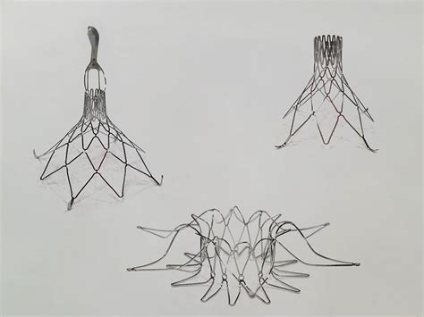 Nitinol Properties Applications And Uses Seisa Medical