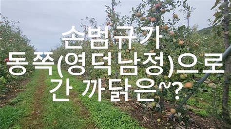 손범규가동쪽영덕남정으로간까닭은~ 241007월경북영덕남정부사 농합색깔박사세트로착색 농합면역플 러스세트동해예방생리장해감소 가조농약종묘사 상담