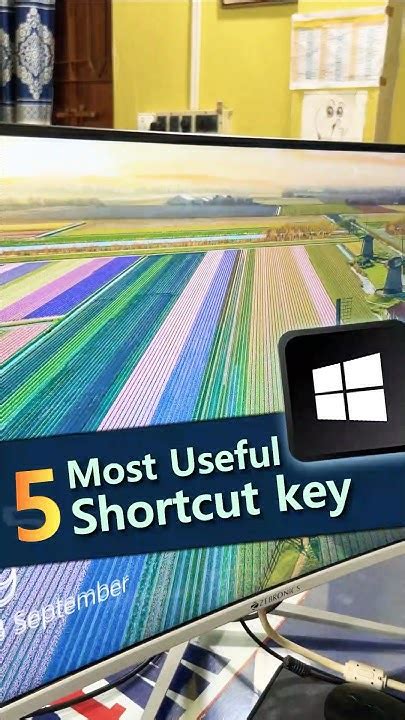 🔥🔥 5 most useful windows shortcut key 👀you must know shorts ytviral