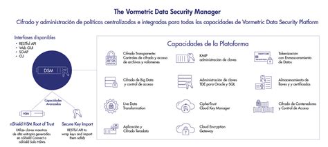 Vormetric Data Security Manager Thales