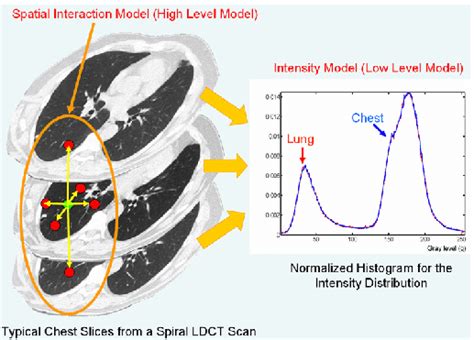 Illustration Of Spatial Interaction And Intensity Models Download Scientific Diagram