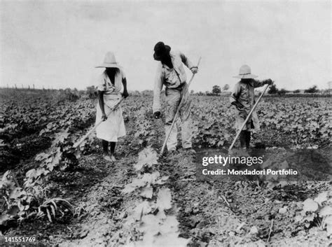 Tenant Farmer