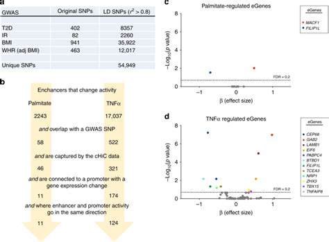 Skeletal Muscle Enhancer Interactions Identify Genes Controlling Whole Body Metabolism Nature