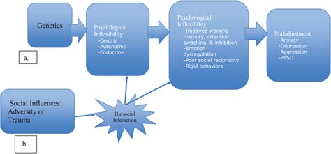 The Biosocial Vulnerability Model In Youth With Asd Note Biosocial