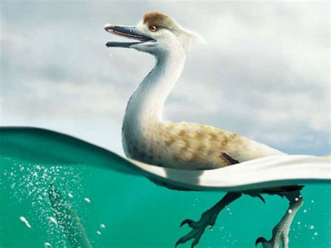 Монголоос шинэ төрлийн махчин үлэг гүрвэлийн олдвор олдож БНСУ руу судлах зорилгоор явуулжээ