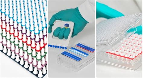 Gene Up Pcr Foodborne Pathogen And Spoilage Detection