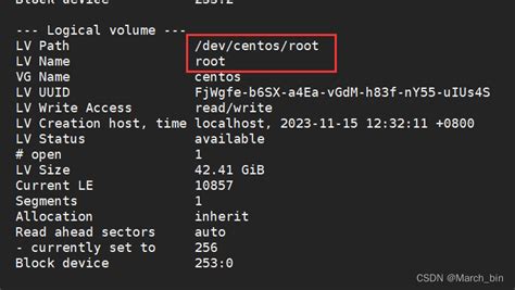 linux磁盘分区挂载和对root目录扩容 linux目录扩容原来的数据有影响么 csdn博客