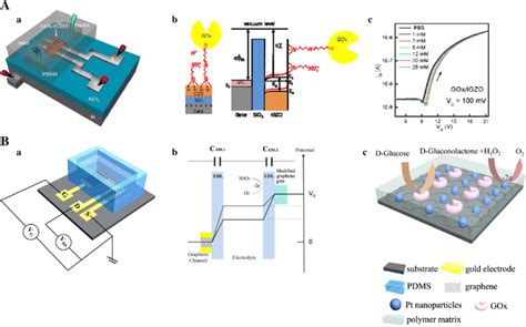 A Schematic Illustration Of Experimental Apparatus For Igzo Fet Sensor