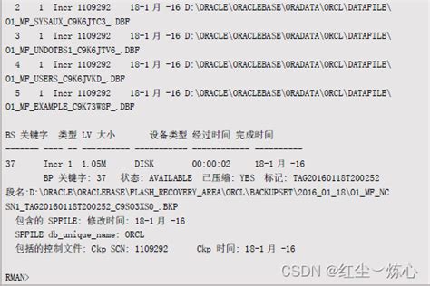 Rman实现异机 分批增量 数据迁移rman迁移数据库 Csdn博客