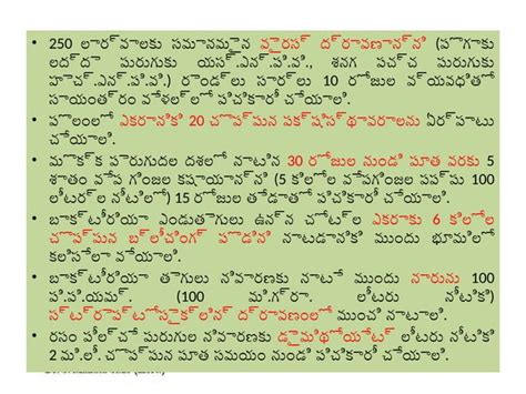 New Tomato Integrated Crop Management Pptx