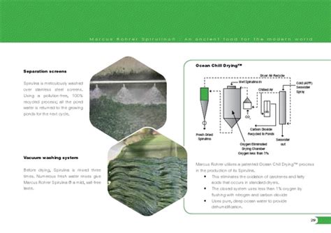 Spirulina At Best Price In Chennai Tamil Nadu Elixir Herbals And Spices