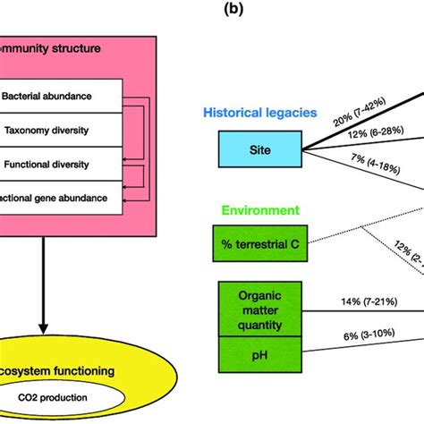 A Conceptual Model Specifying How Different Ecosystem Properties