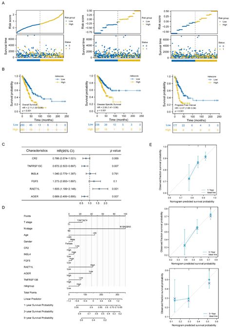 Comprehensive Analysis Of A Novel Immune Related Gene Signature In Lung Adenocarcinoma