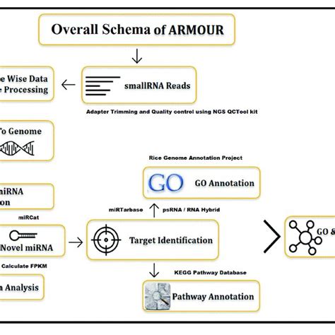 Overall Schema Of Database Development And Functionality